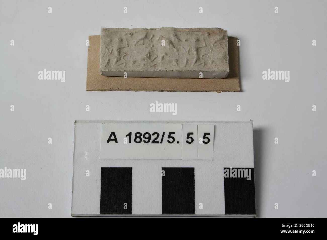 print, cylinder seal, plaster, 1.8 x 4.5 x 0.5 cm, cardboard: 2.1 x 5.3 ...