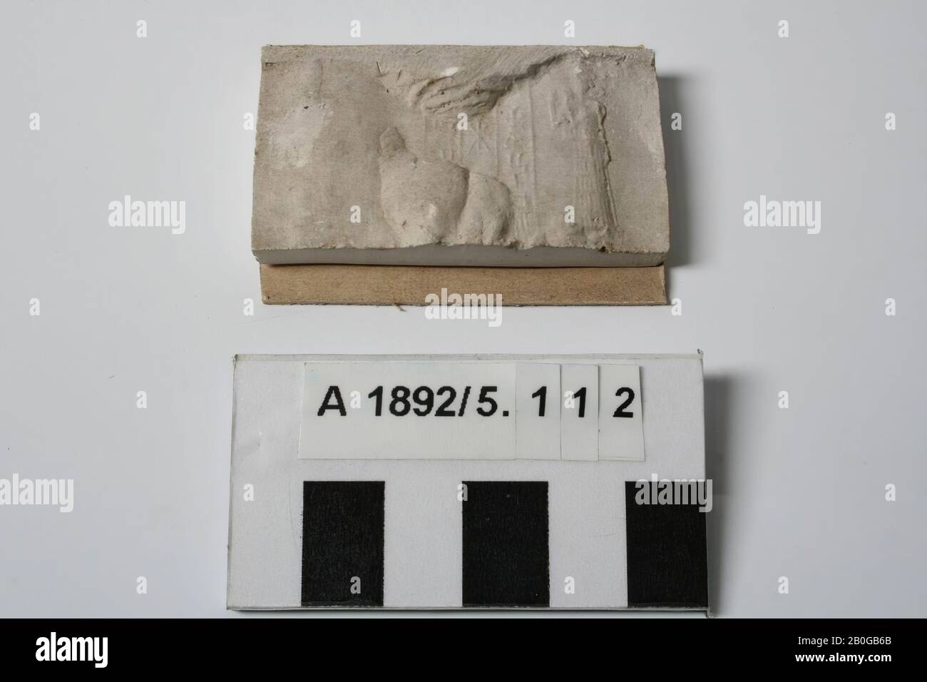print, cylinder seal, plaster, 2.9 x 5.5 x 0.7 cm, cardboard: 3.9 x 5.4 ...