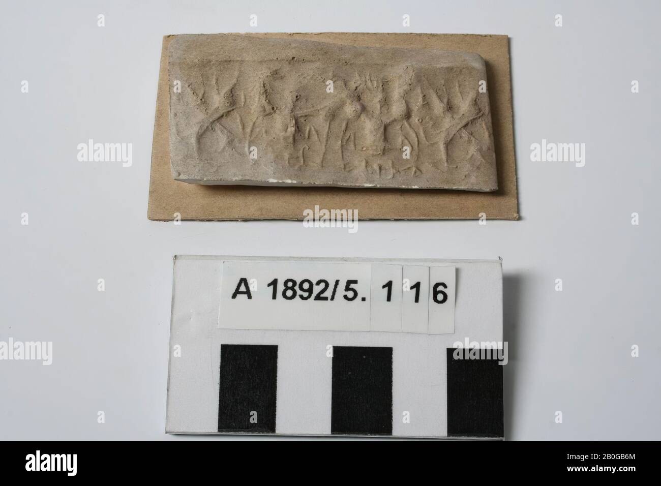 print, cylinder seal, plaster, 3 x 6 x 0.5 cm, cardboard: 4 x 7 cm ...