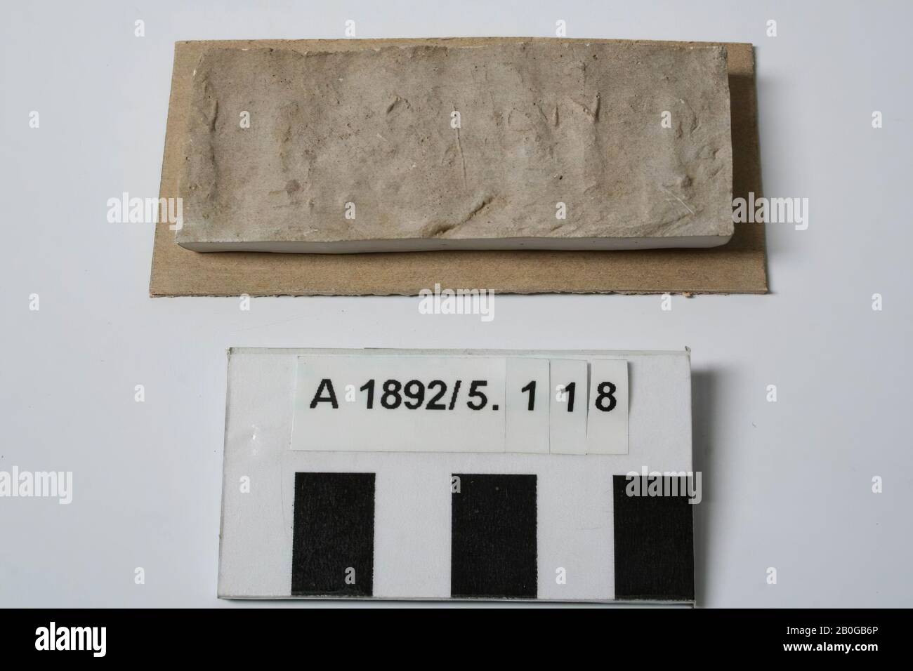 print, cylinder seal, plaster, 2.9 x 7.3 x 0.7 cm, cardboard: 3.9 x 8.2 ...