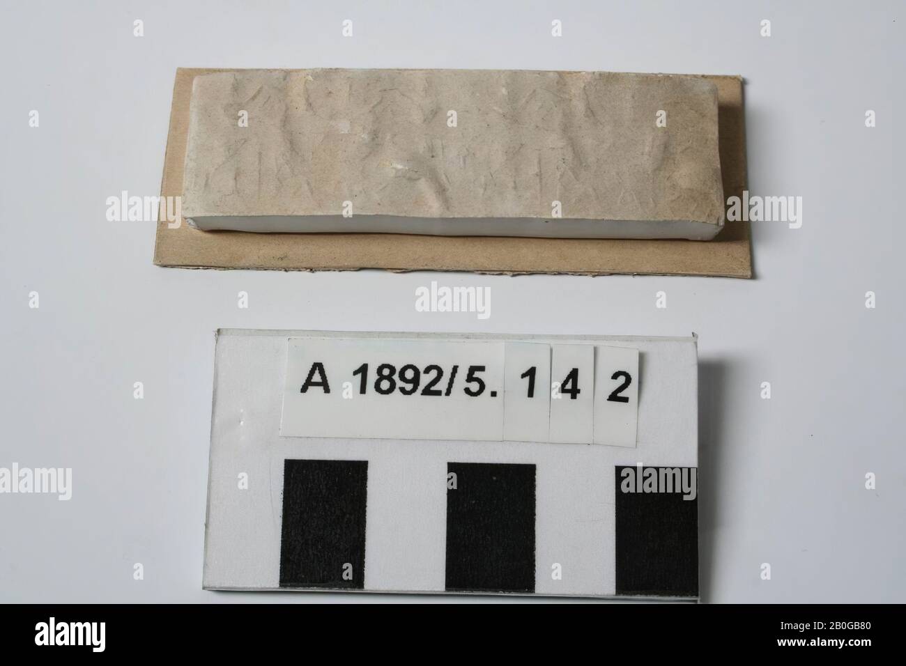 print, cylinder seal, plaster, 2.1 x 6.8 x 0.7 cm, cardboard: 3 x 7.7 ...