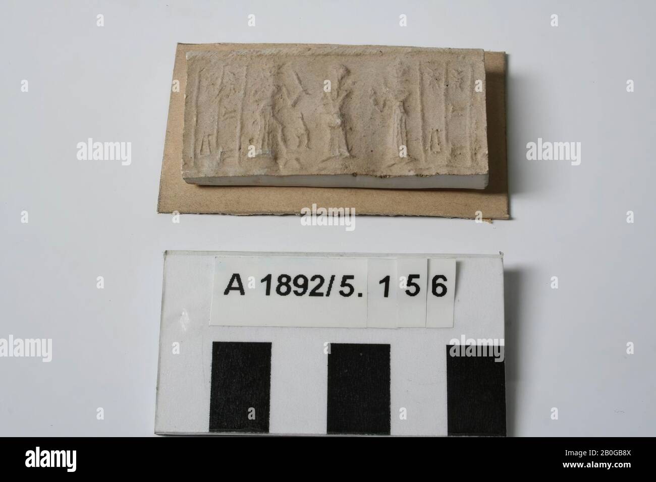 print, cylinder seal, plaster, 2.6 x 5.5 x 0.6 cm, cardboard: 3.5 x 6.4 ...
