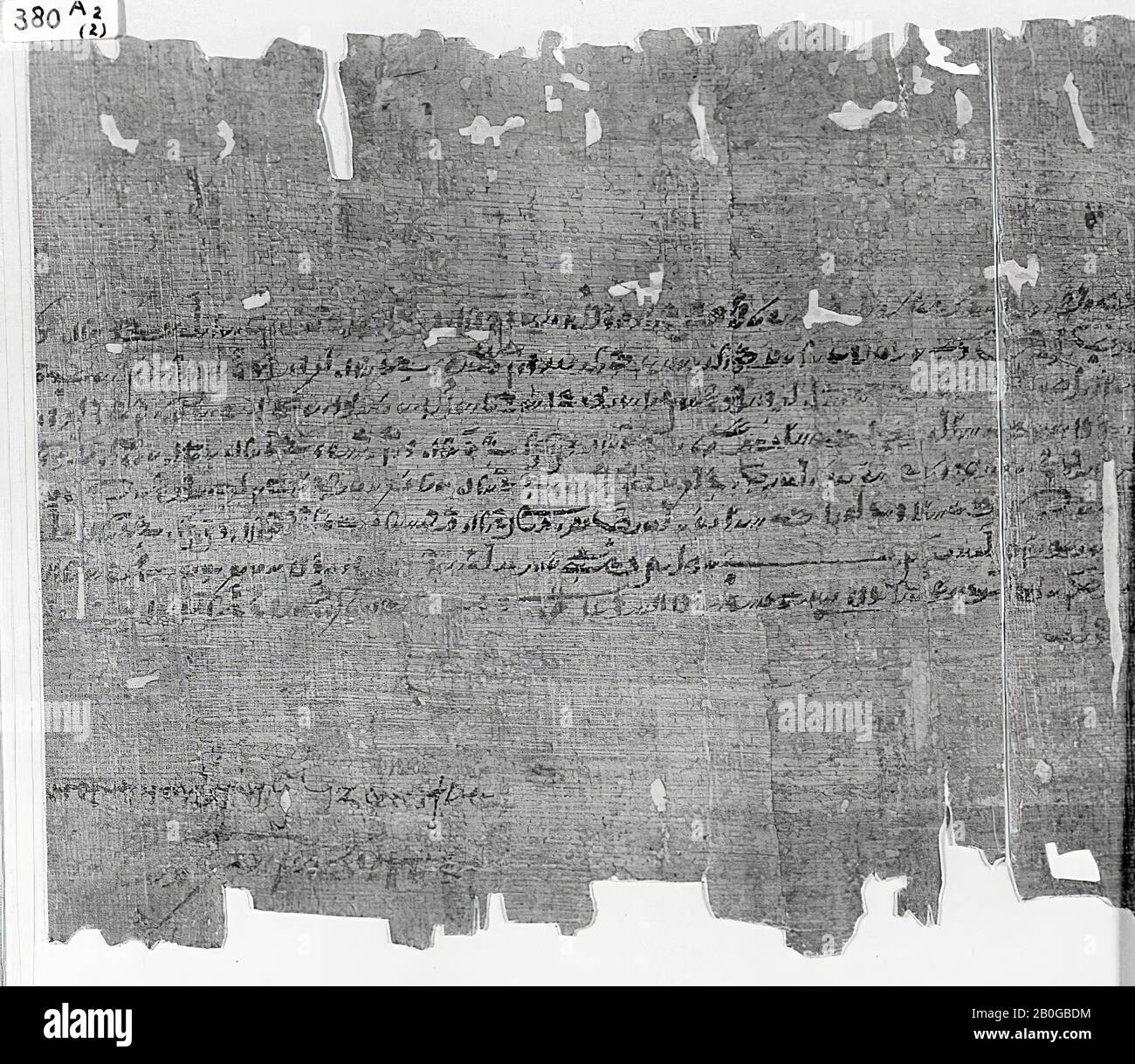 Egypt, handwriting, contract, papyrus, 25 x 47 cm Stock Photo - Alamy