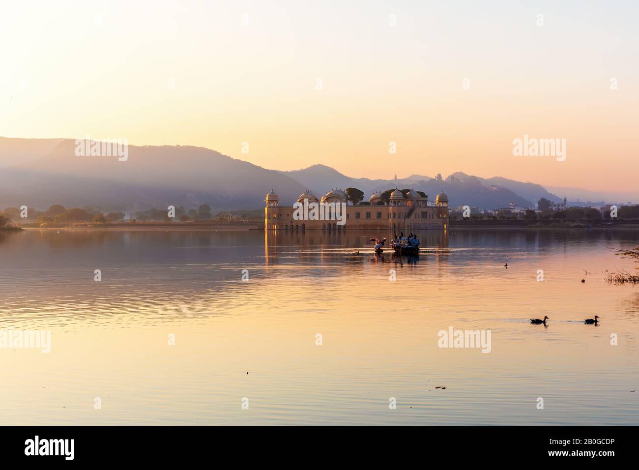 Nests in the Man Sagar Lake by the Jal Mahal Palace, Amer, Jaipur ...