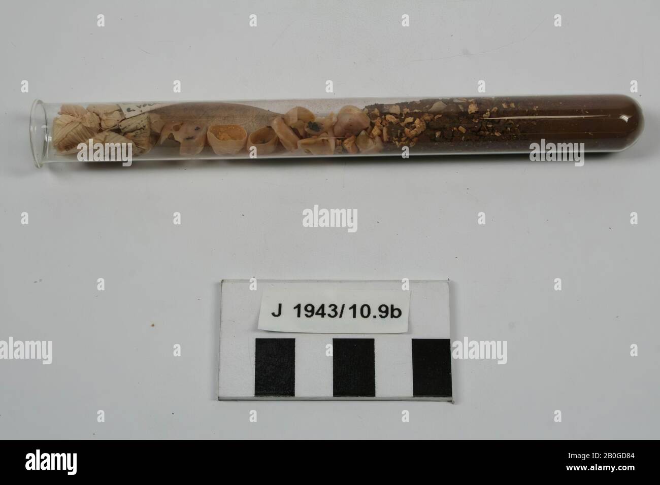 16 x 1 3 cm hi-res stock photography and images - Alamy