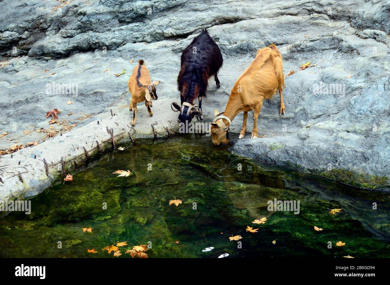 Samothrace greece waterfall hi-res stock photography and images - Alamy