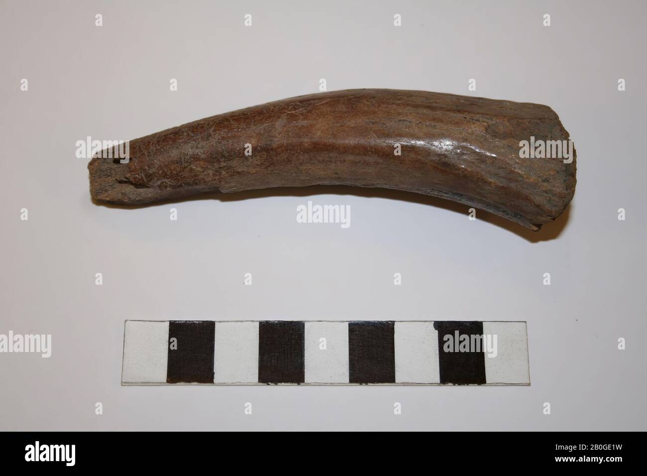Numbers 23b 454 iii hi-res stock photography and images - Alamy
