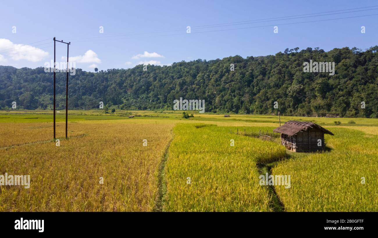 Thatched fields hi-res stock photography and images - Alamy
