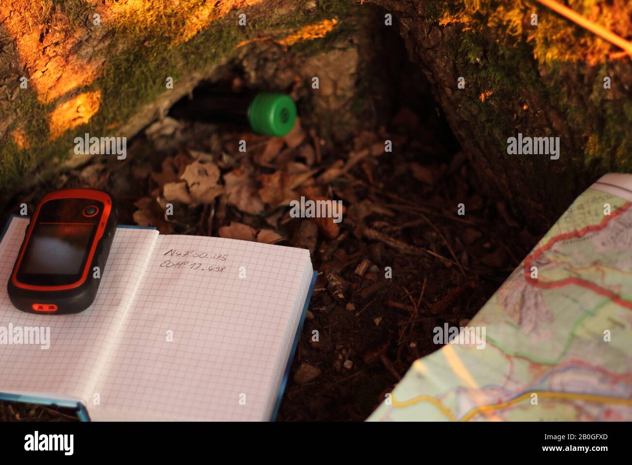 finding a geocache in forest with the help of a gps device, a map and a ...