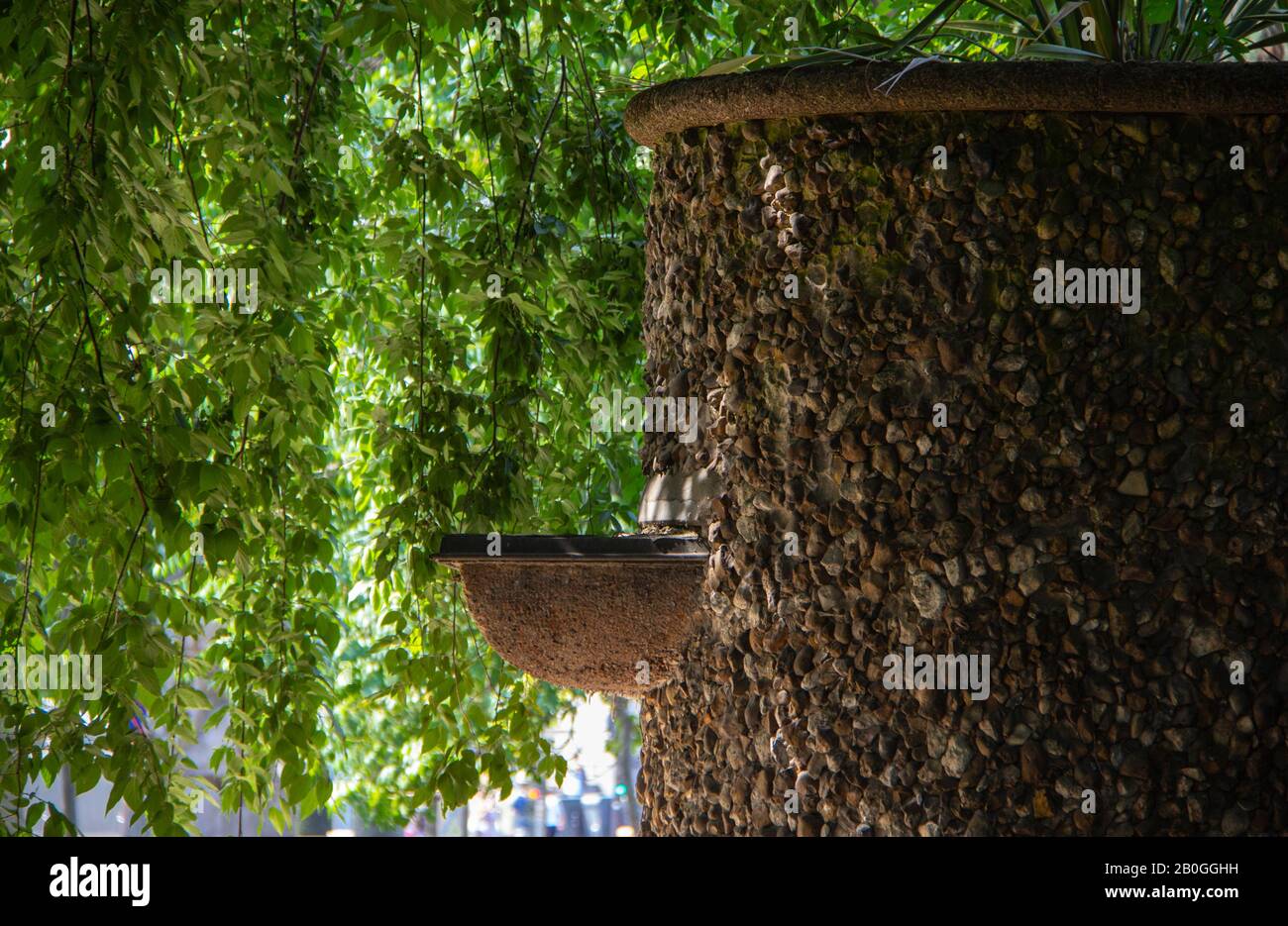 fountain under a tree Stock Photo - Alamy