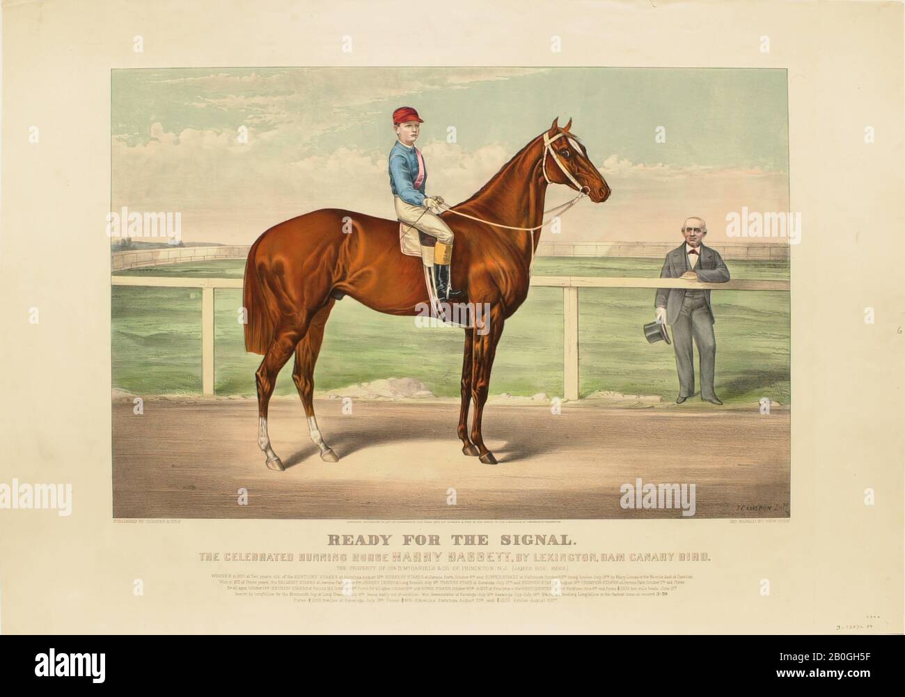 43 7 x 66 cm hi-res stock photography and images - Alamy