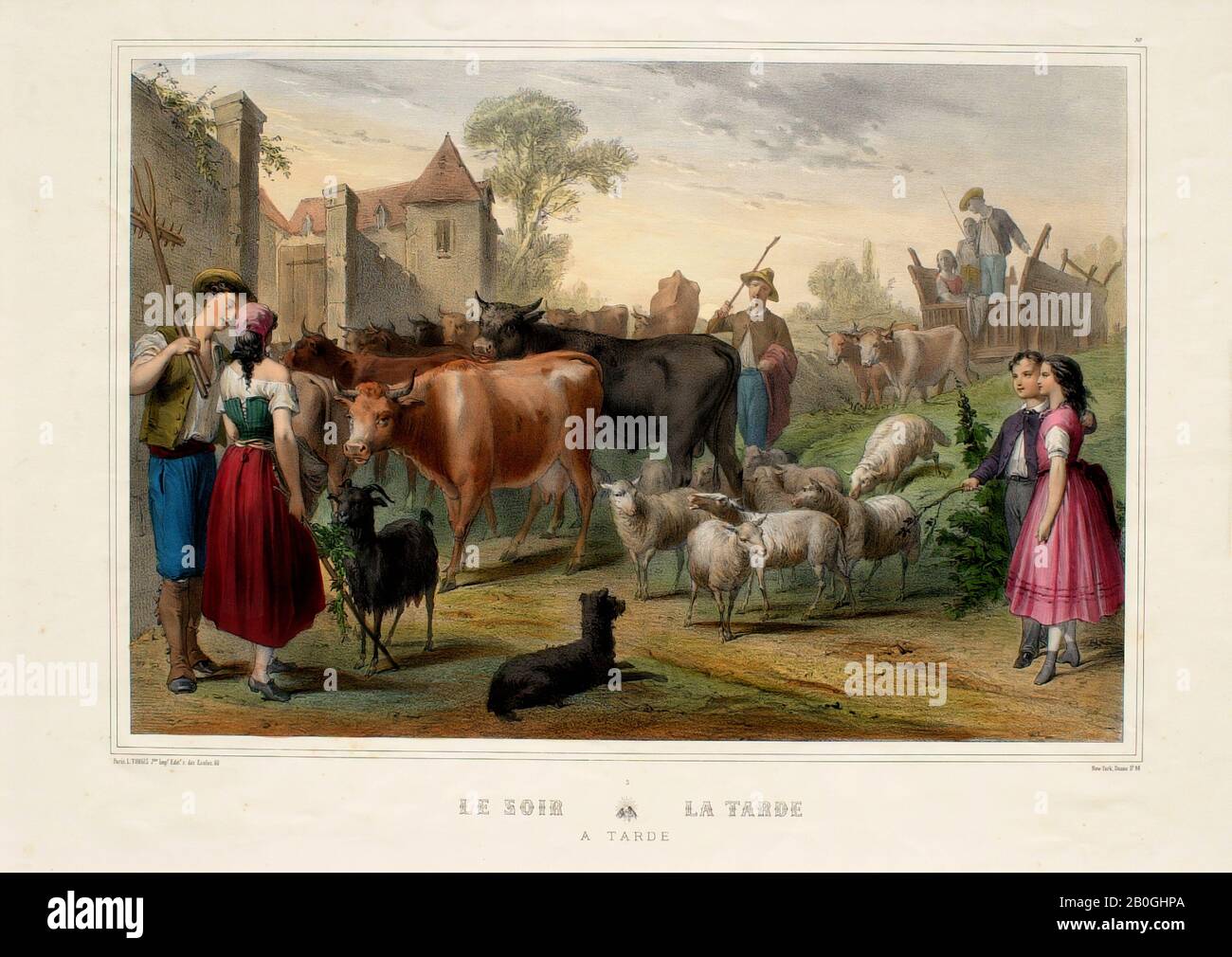 48 1 33 3 cm hi-res stock photography and images - Alamy