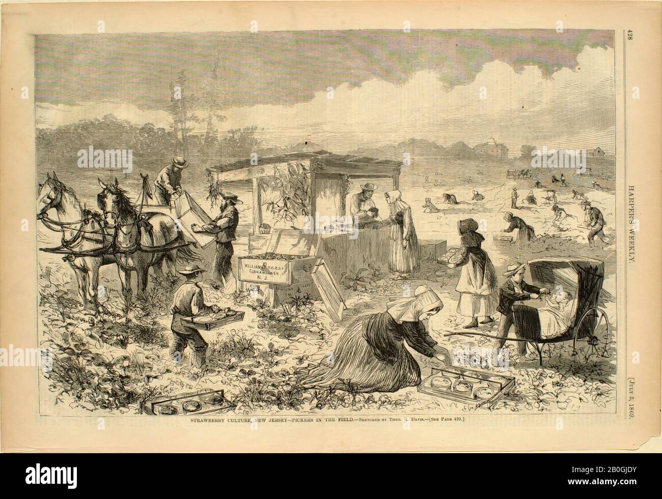 Theodore davis hi-res stock photography and images - Alamy