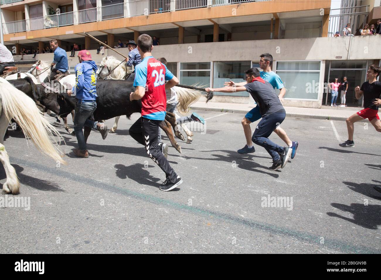 Running With The Bulls France High Resolution Stock Photography and ...