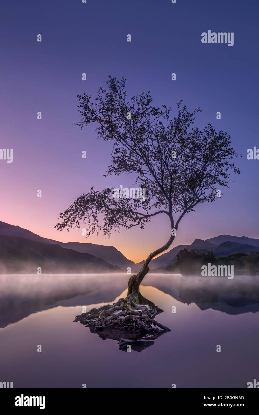 Tranquil sunrise lake wales hi-res stock photography and images - Alamy