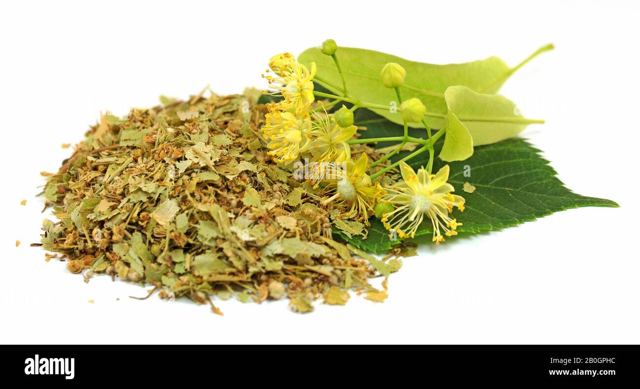 Lime blossom tea hi-res stock photography and images - Alamy
