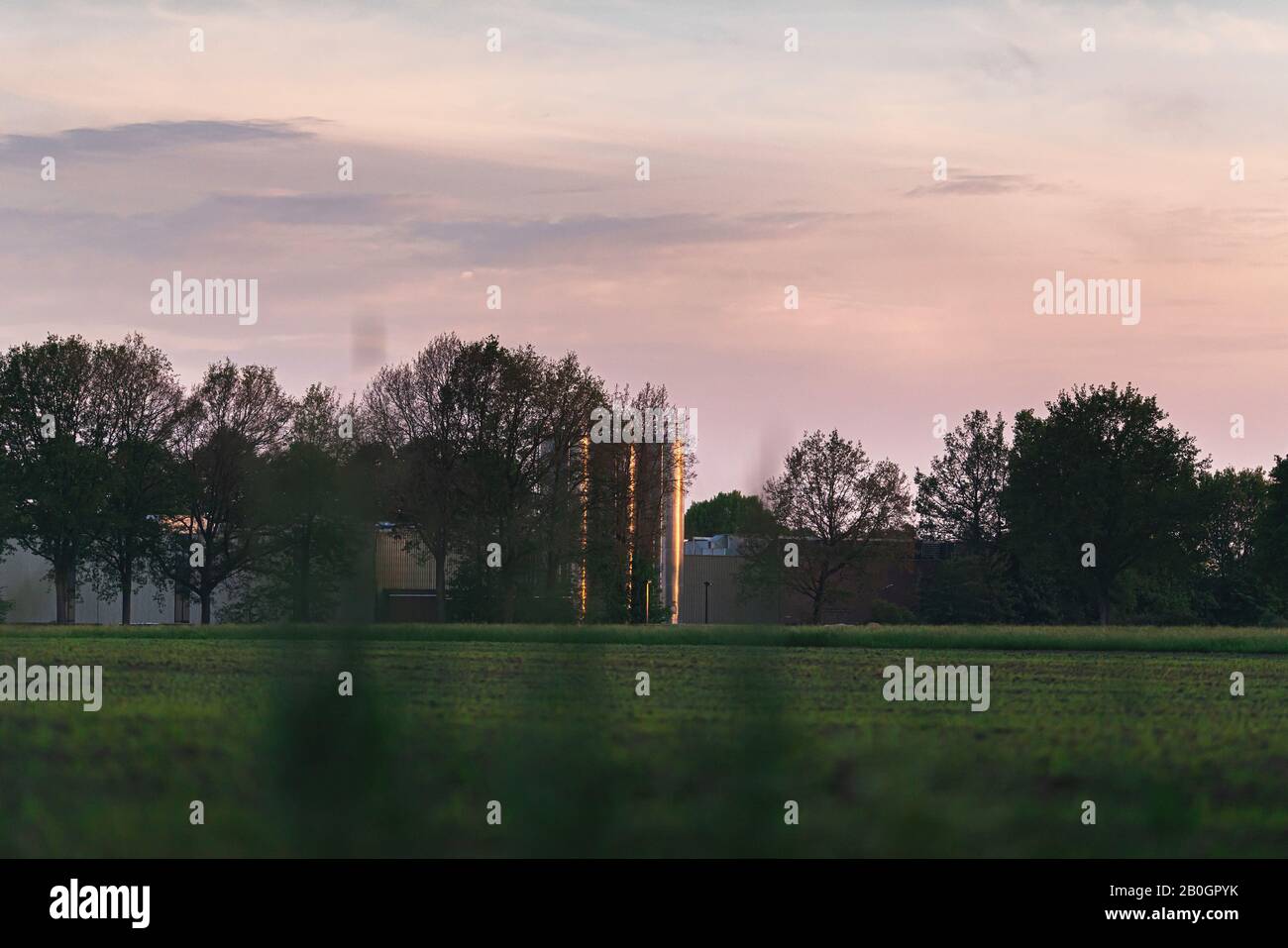 Countryside with silos and trees at sunset in spring Stock Photo - Alamy