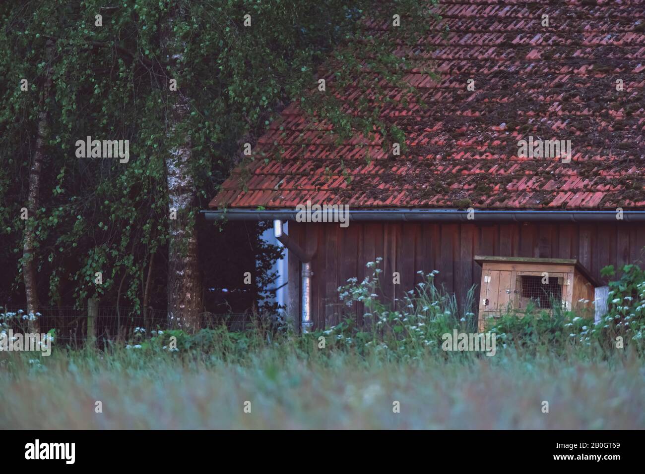 Wooden barn and rabbit cage in bushy countryside Stock Photo - Alamy