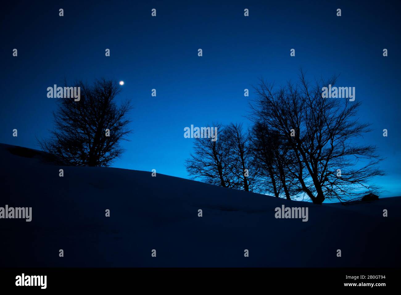 Twilight winter with moon hi-res stock photography and images - Alamy