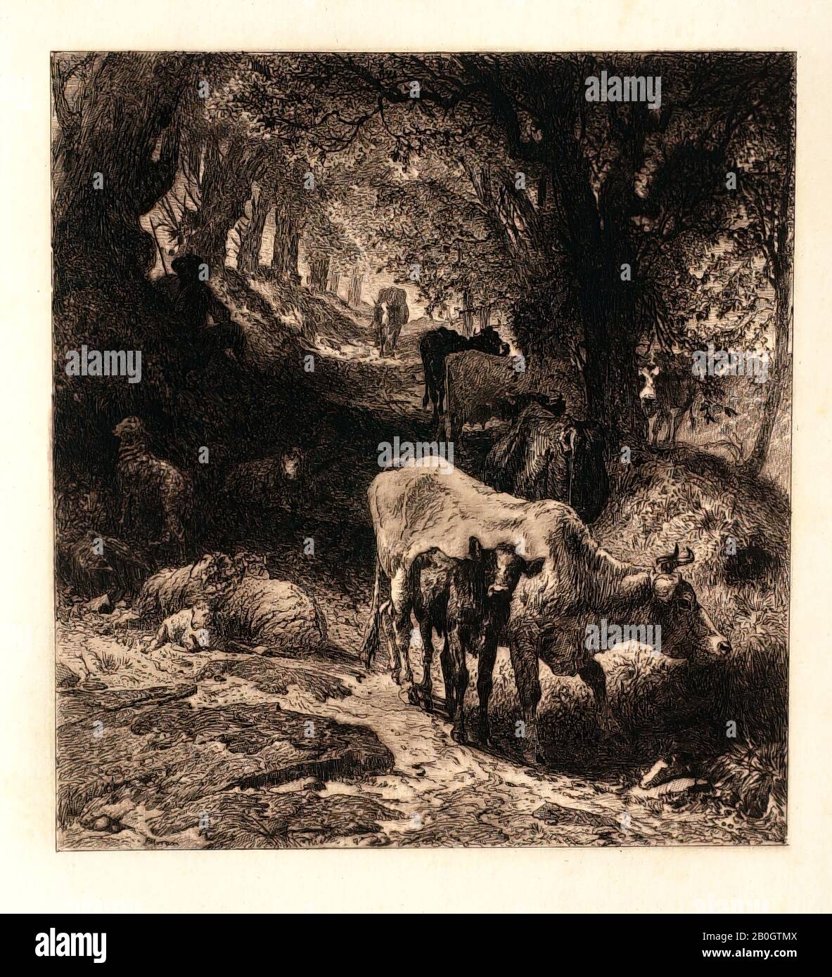 6 cows hi-res stock photography and images - Alamy