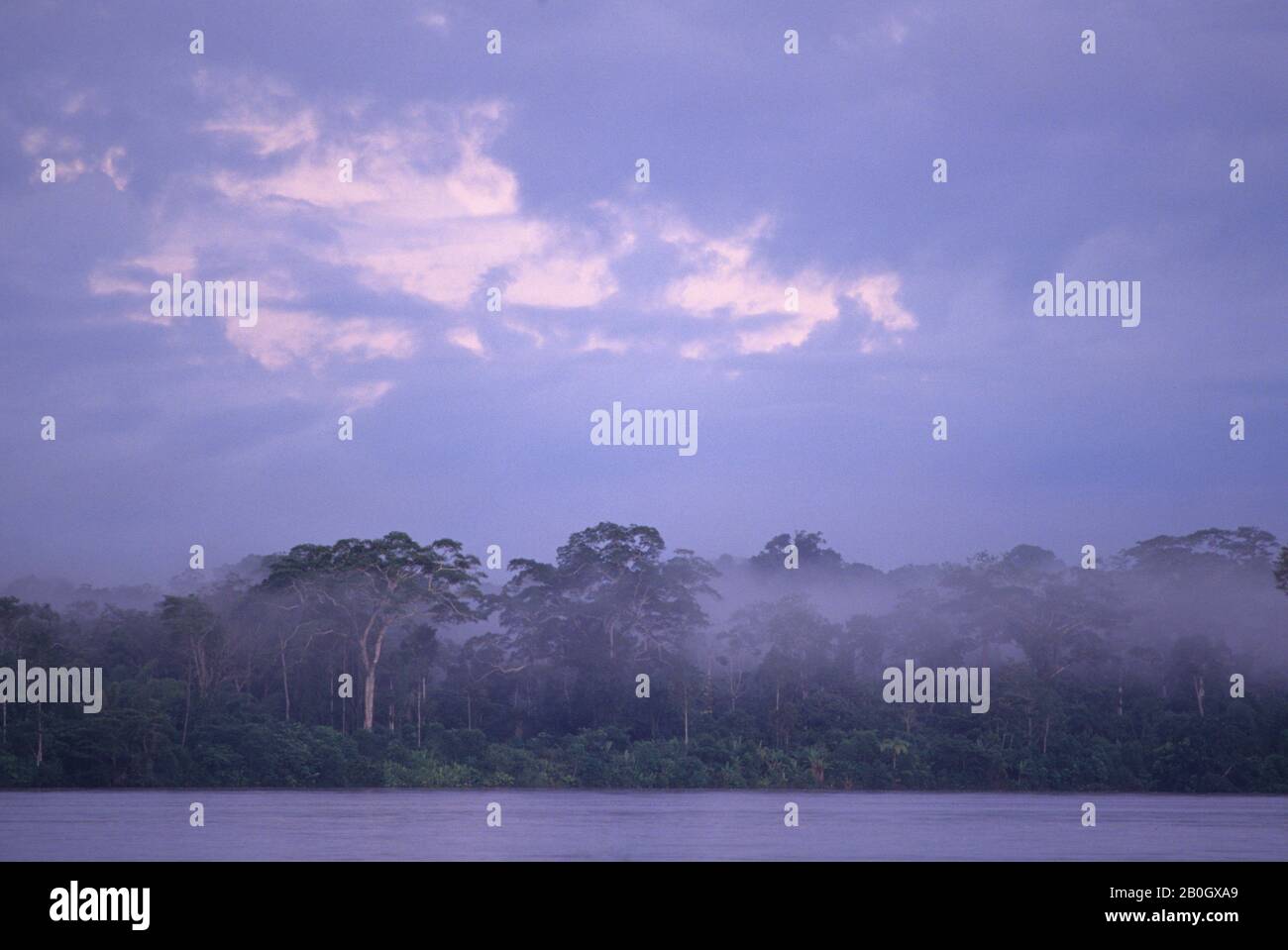 Rising rainforest mist hi-res stock photography and images - Alamy
