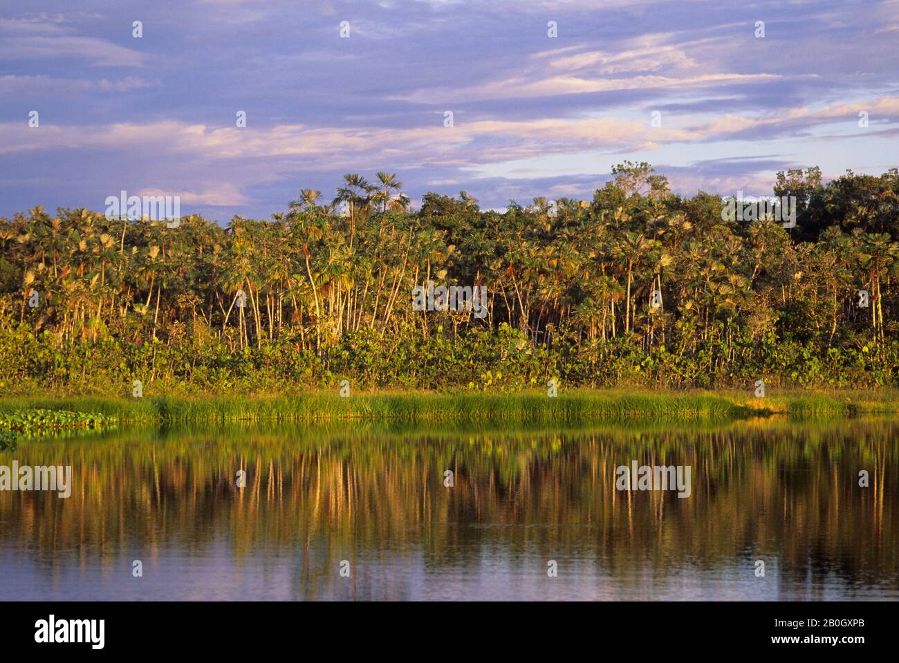 Lakes of the amazon hi-res stock photography and images - Alamy