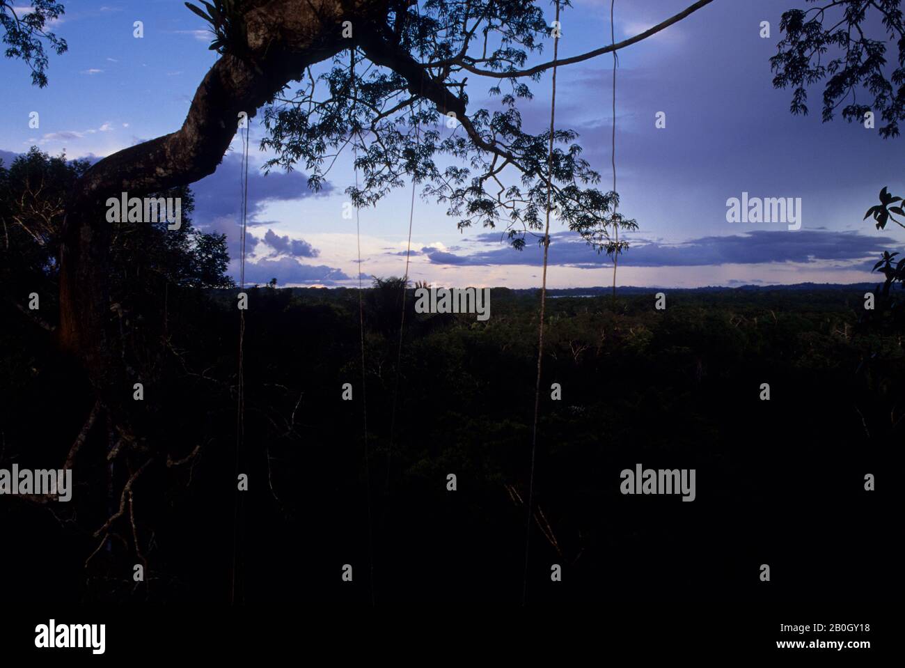 Upper amazon river basin hi-res stock photography and images - Alamy