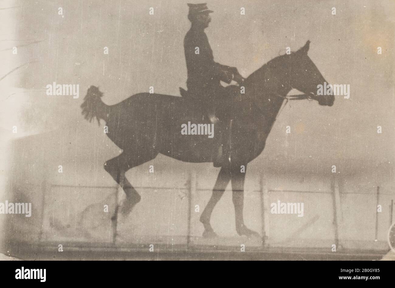 Marey hi-res stock photography and images - Alamy