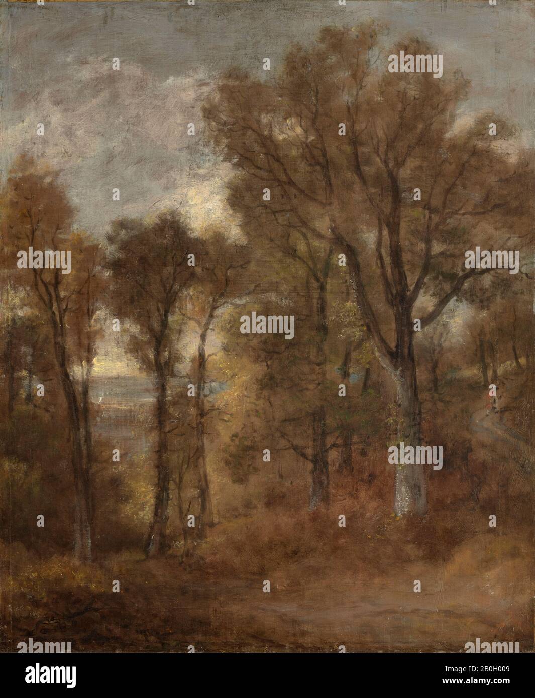 Woodland scene overlooking dedham vale hi-res stock photography and ...