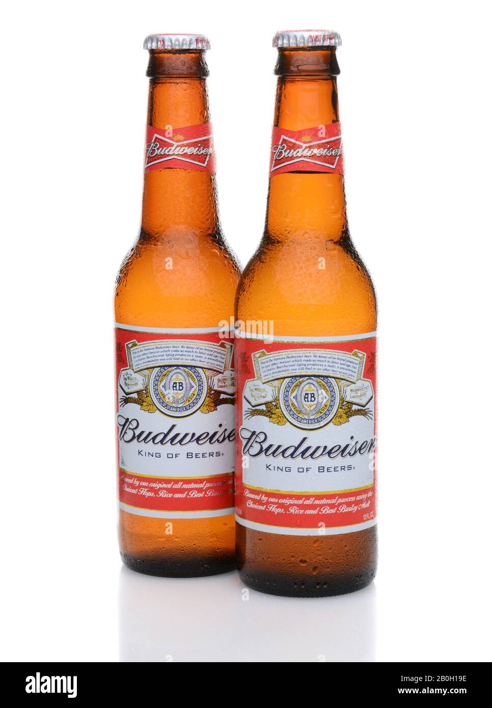 Inbev hi-res stock photography and images - Alamy