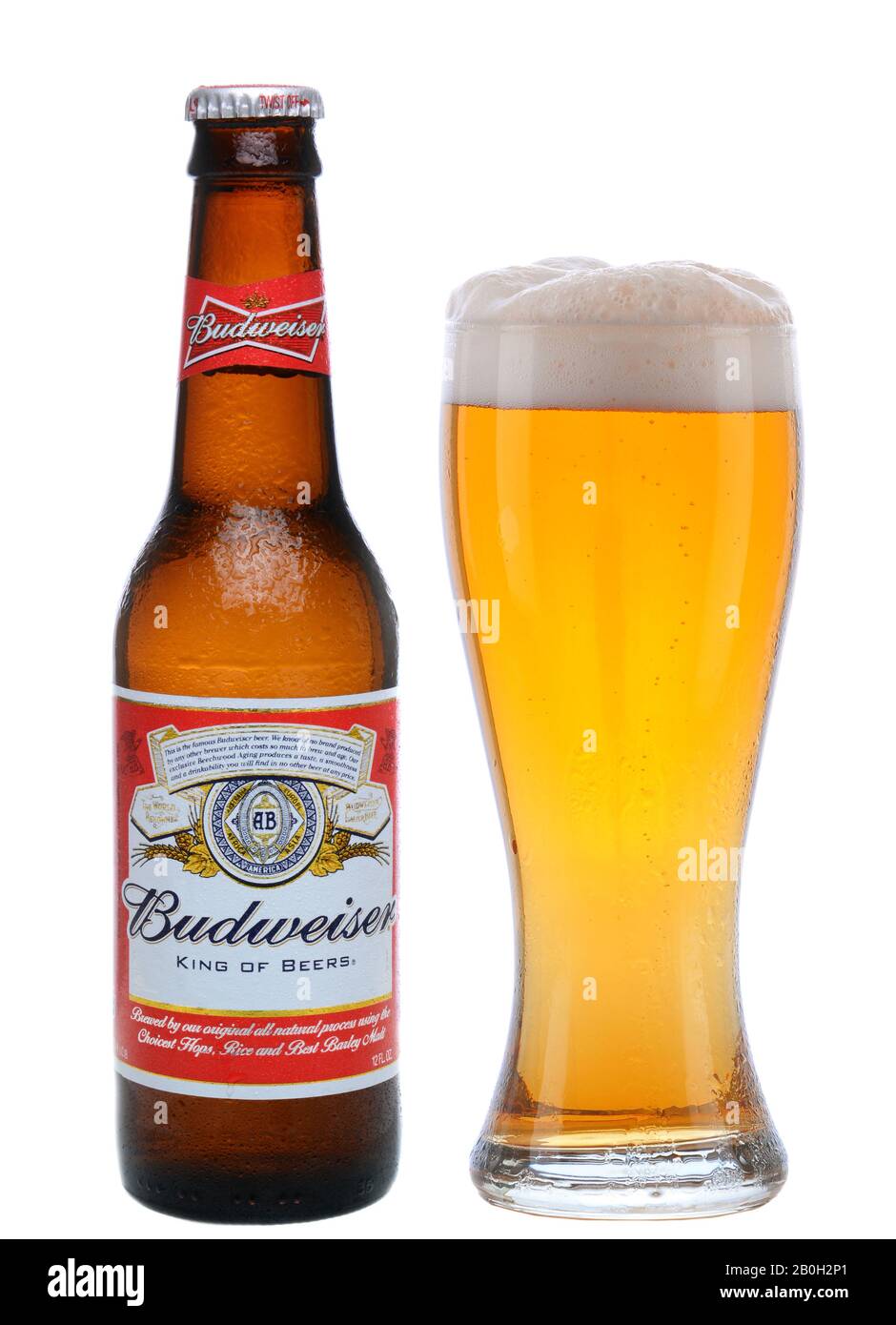 Beer bottle condensation budweiser hi-res stock photography and images - Alamy