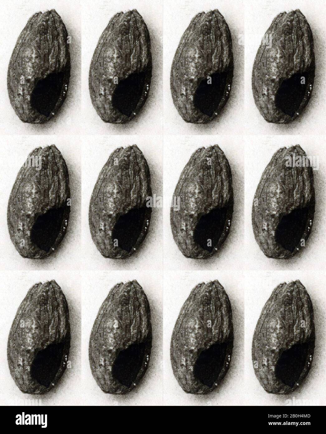 2381 2323 High Resolution Stock Photography and Images - Alamy