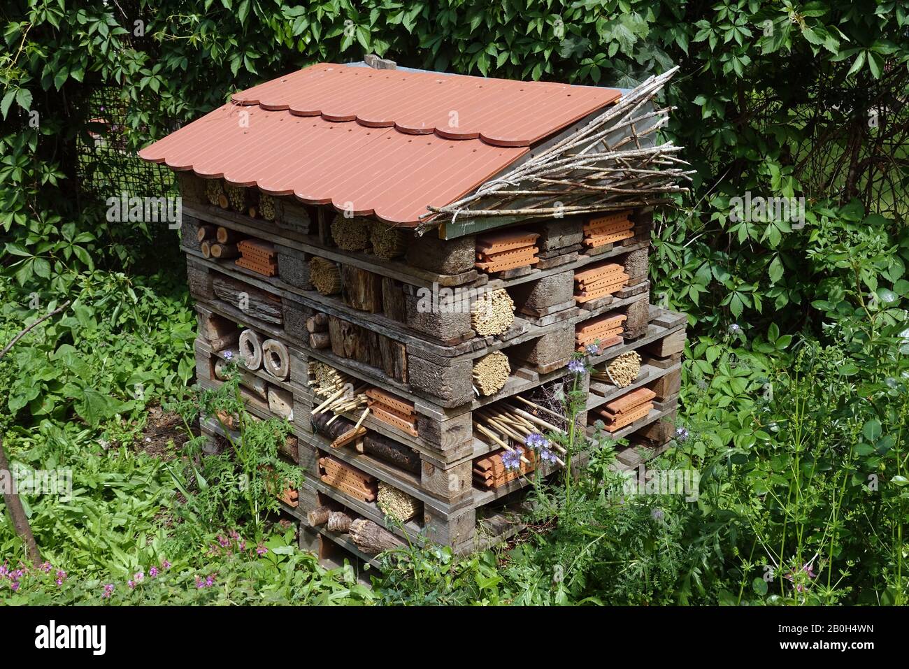 Insect house built from pallets hi-res stock photography and images - Alamy