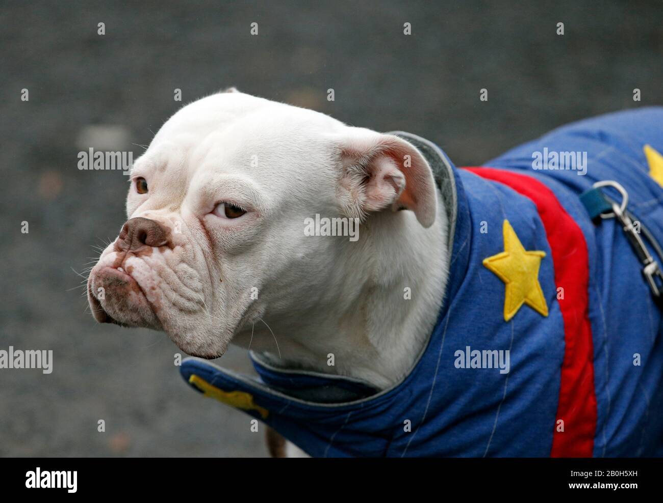 Grim facial expression hi-res stock photography and images - Alamy