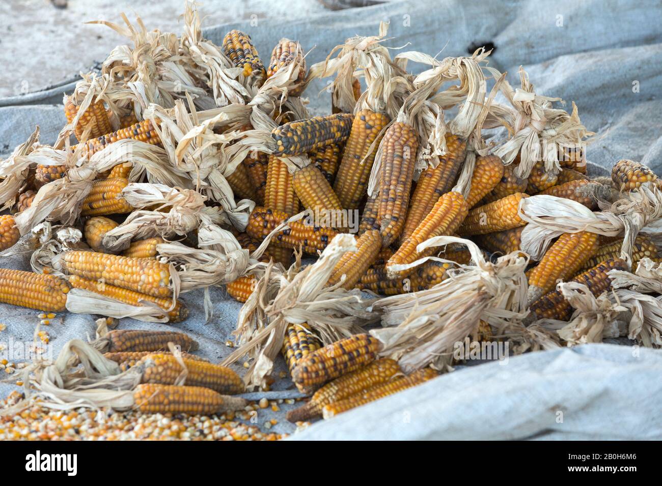 Drying grain africa hi-res stock photography and images - Alamy