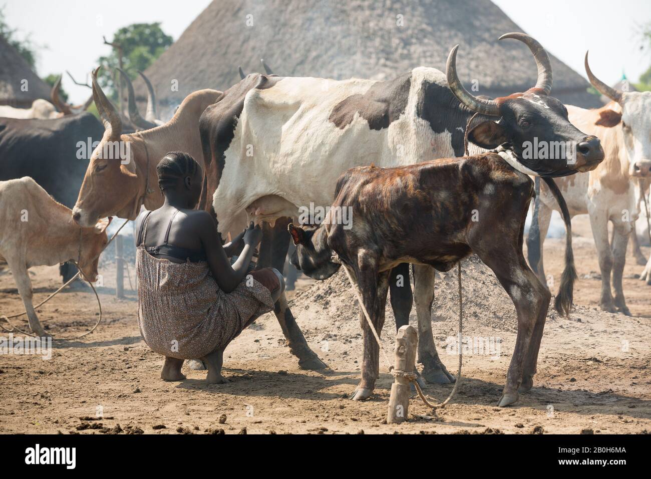 Nuer tribe hi-res stock photography and images - Alamy