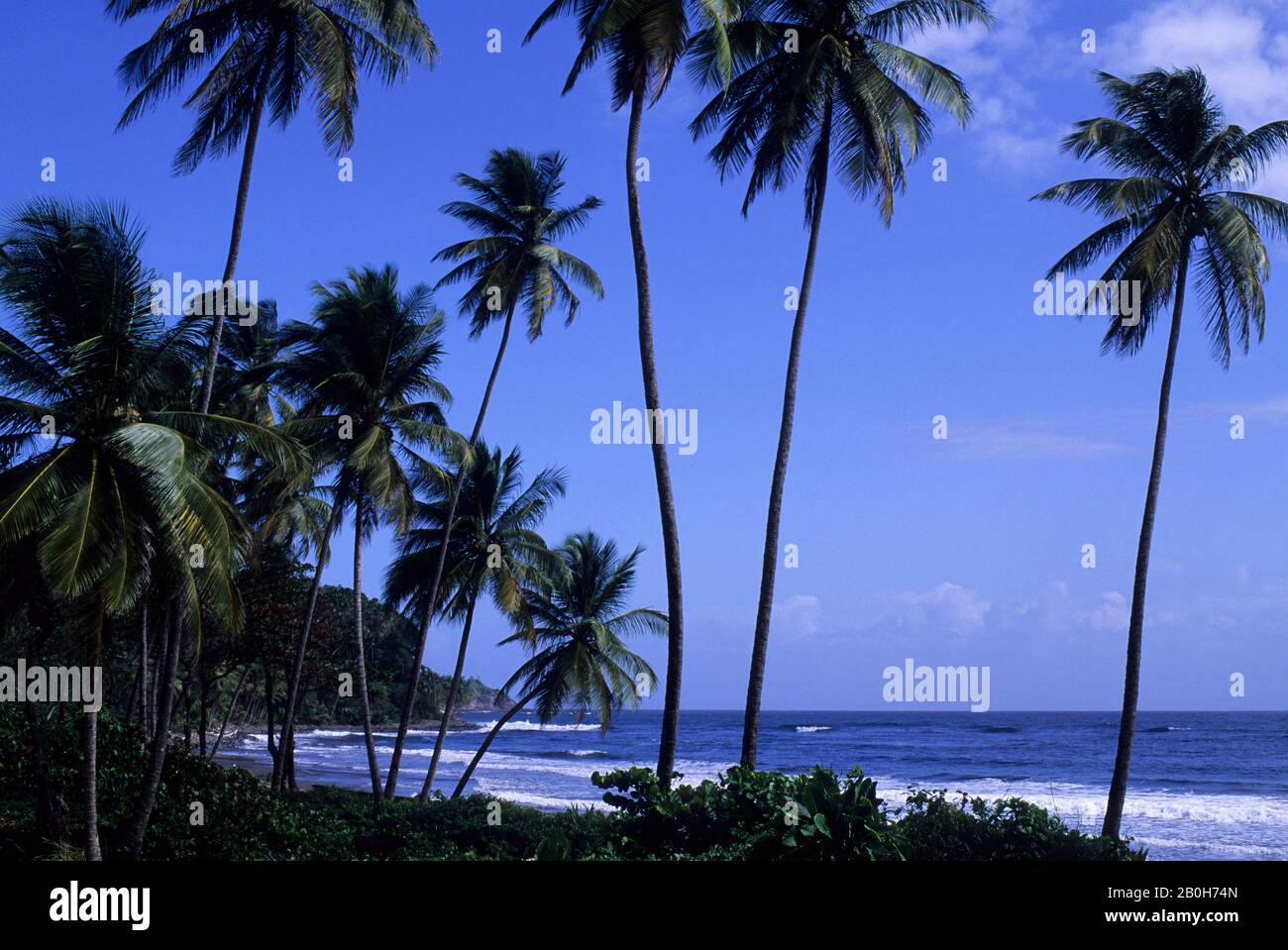 Atlantic side hi-res stock photography and images - Alamy