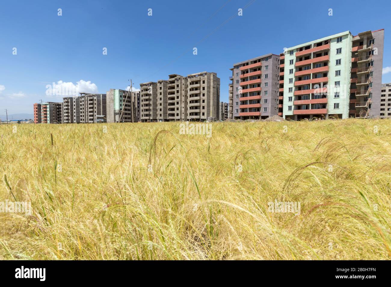 Addis ababa new area hi-res stock photography and images - Alamy