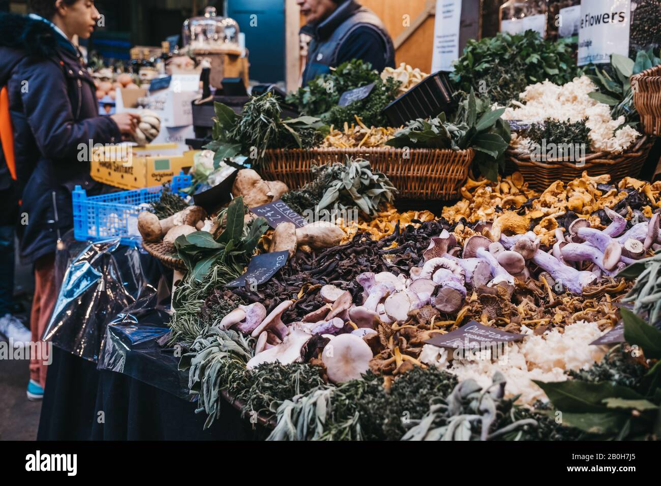 London, UK - November 29, 2019: Variety of mushroom on sale at a stall ...