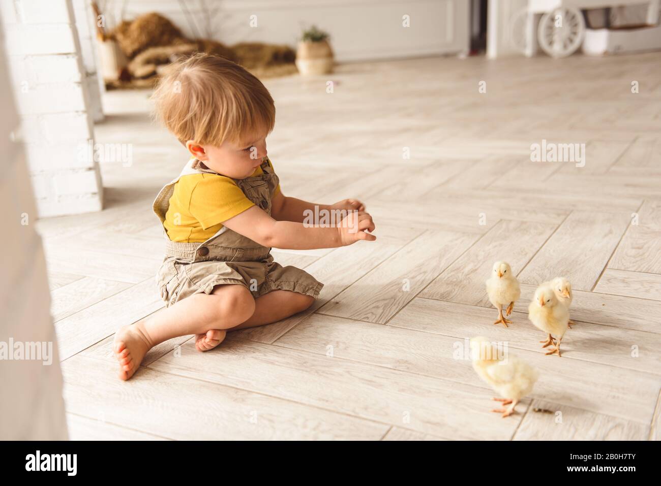 Boy girl ducks hi-res stock photography and images - Alamy