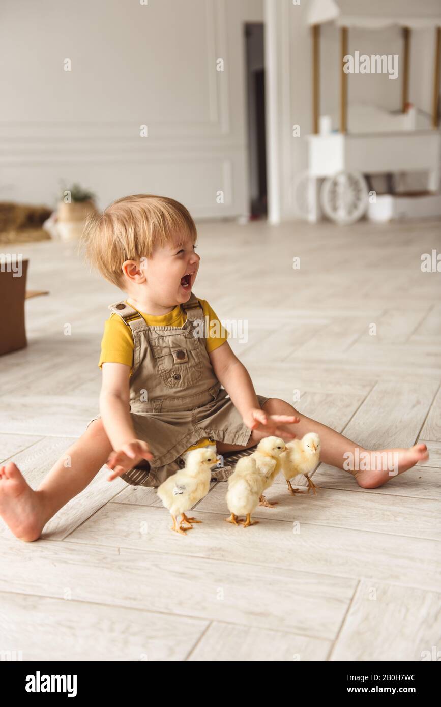 boy playing with ducks for Easter Stock Photo - Alamy