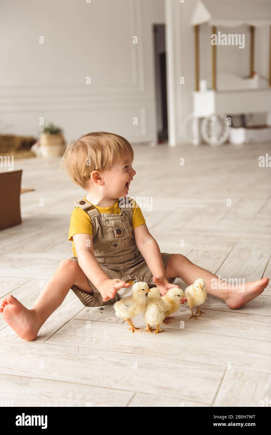 boy playing with ducks for Easter Stock Photo - Alamy