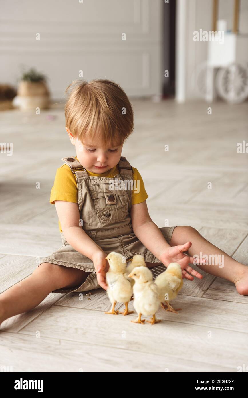 Boy girl ducks hi-res stock photography and images - Alamy