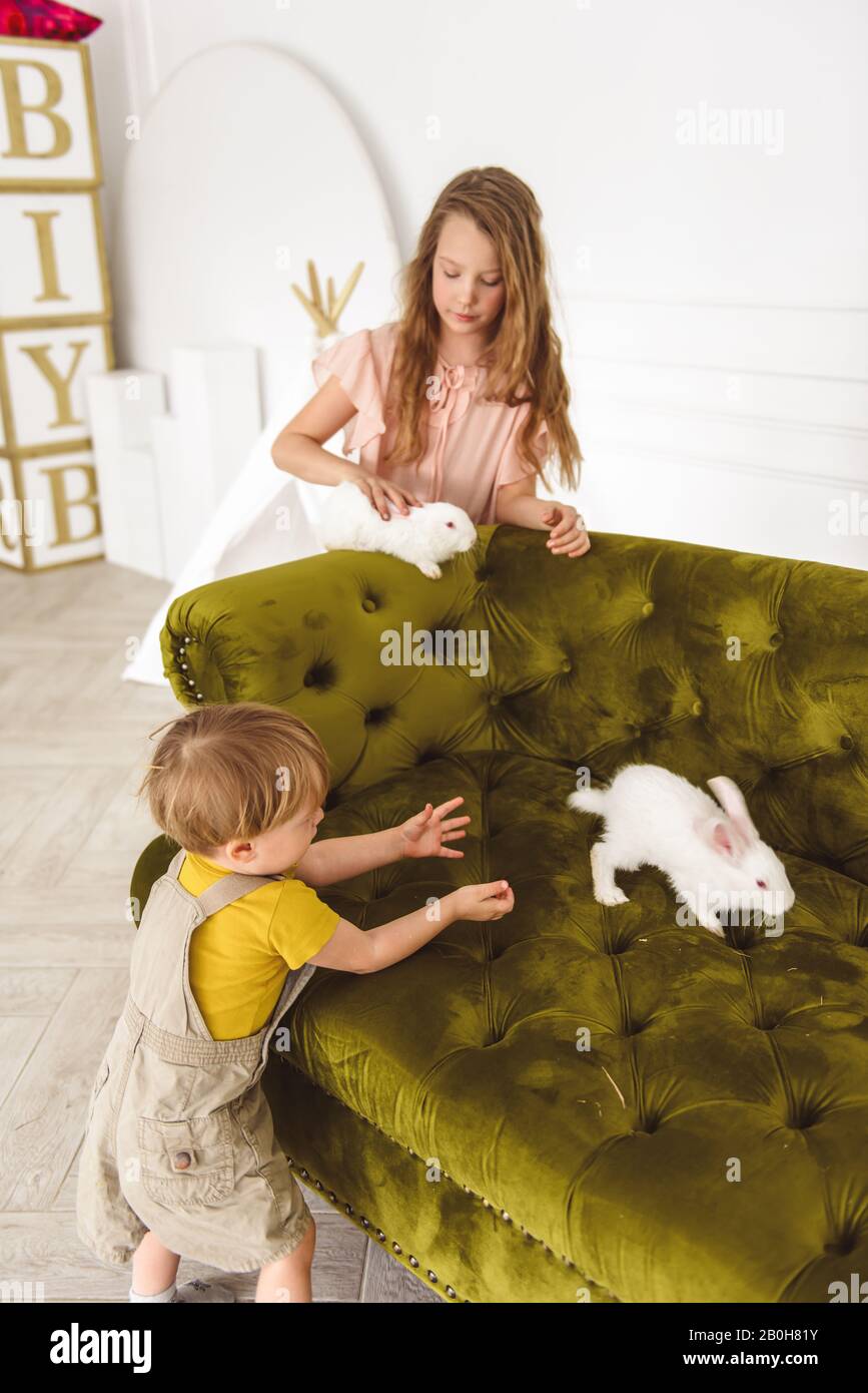 Boy playing with a bird hi-res stock photography and images - Alamy
