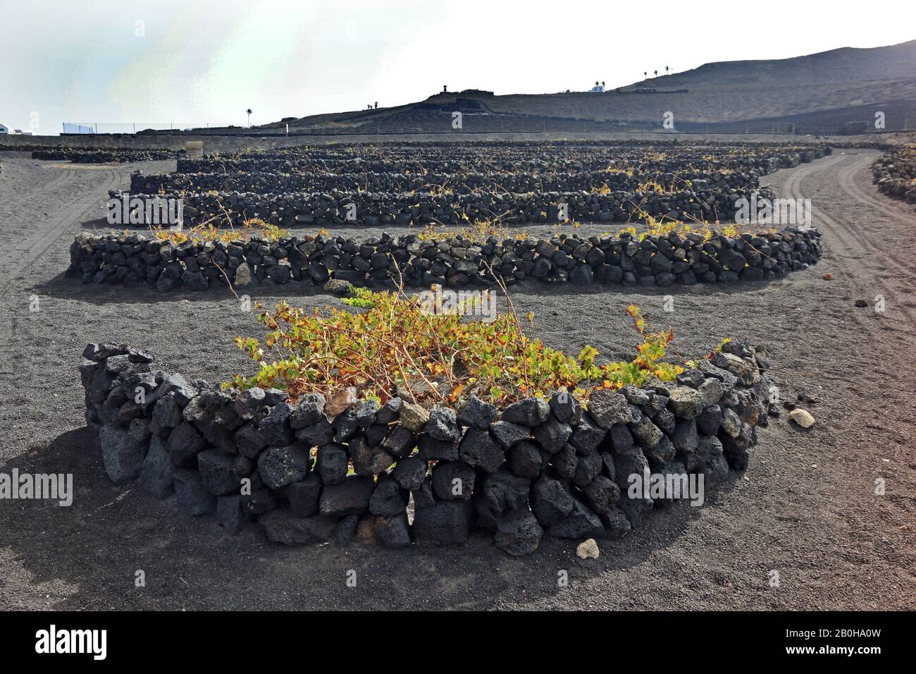 Lava walls hi-res stock photography and images - Alamy