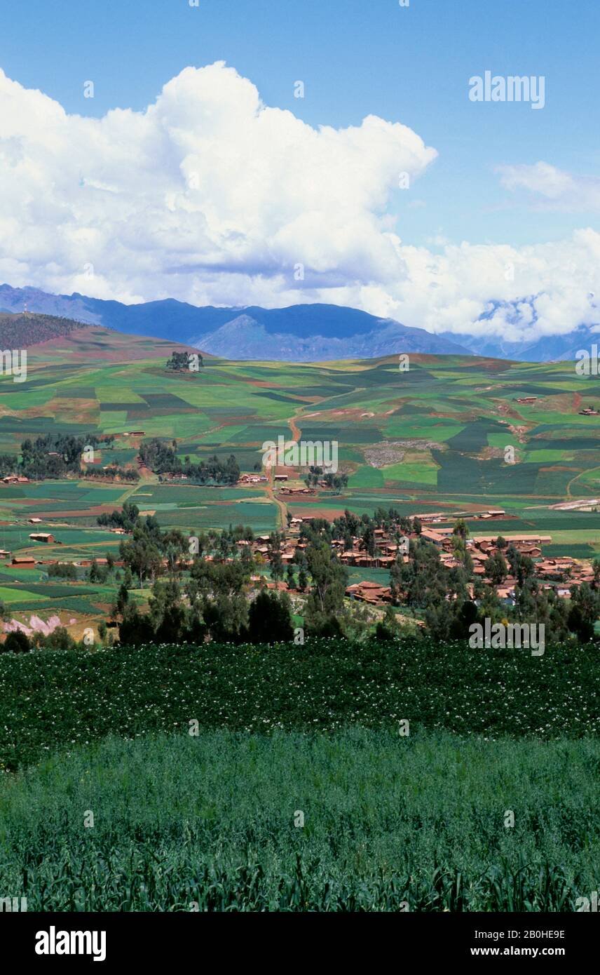 Peru potato field hi-res stock photography and images - Alamy