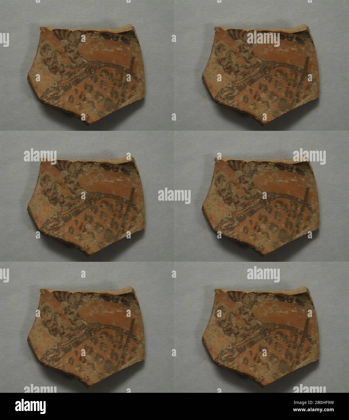 Shard: Forepaws of Spotted Carnivore, Pakistan, ca. 4th–5th century ...