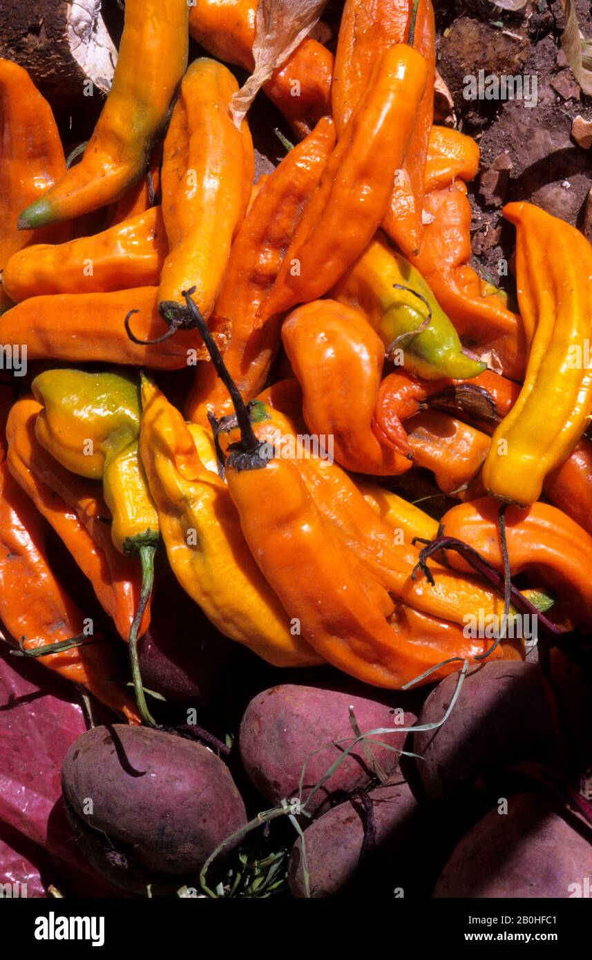 Potato market peru hi-res stock photography and images - Alamy