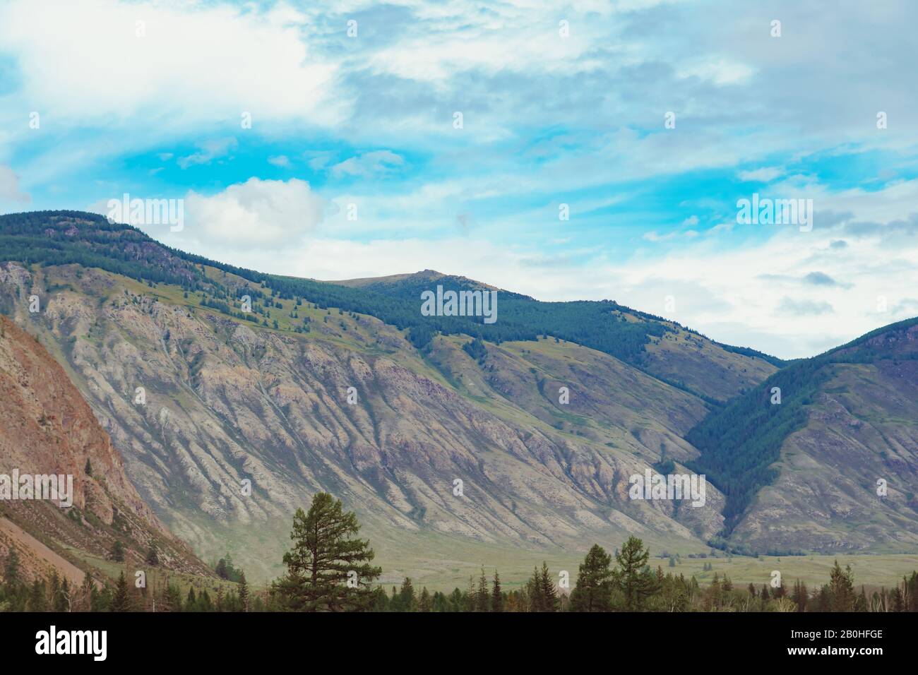 Beautiful mountain treescape hi-res stock photography and images - Alamy