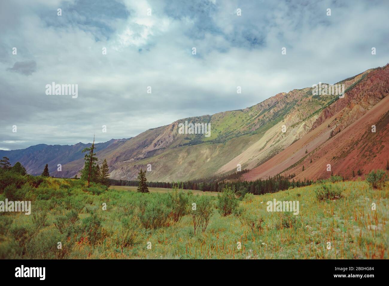 Beautiful mountain treescape hi-res stock photography and images - Alamy